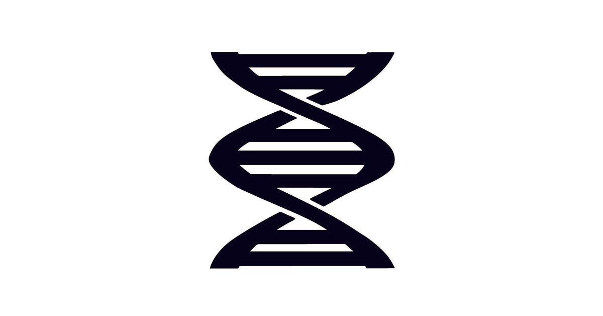 G(J)ENE-official Webstore